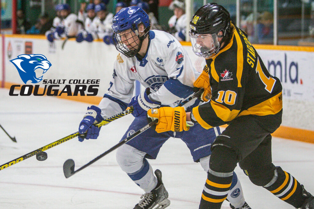 Sault College secures Eagles’ Starzomski | NOJHL League Site